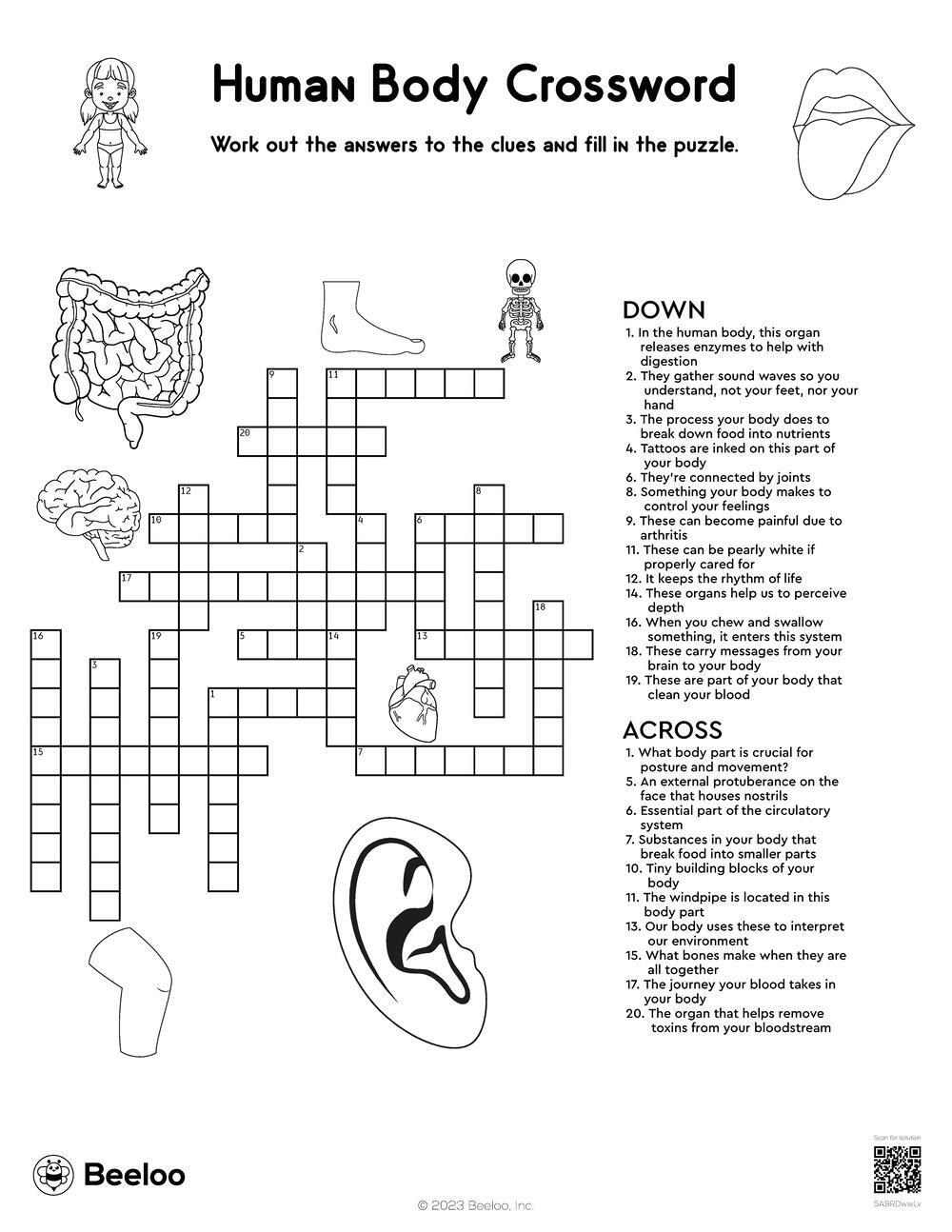 Human Body Crossword Beeloo Printable Crafts And Activities For Kids Human Body Crossword Beeloo Printable Crafts And Activities For Kids
